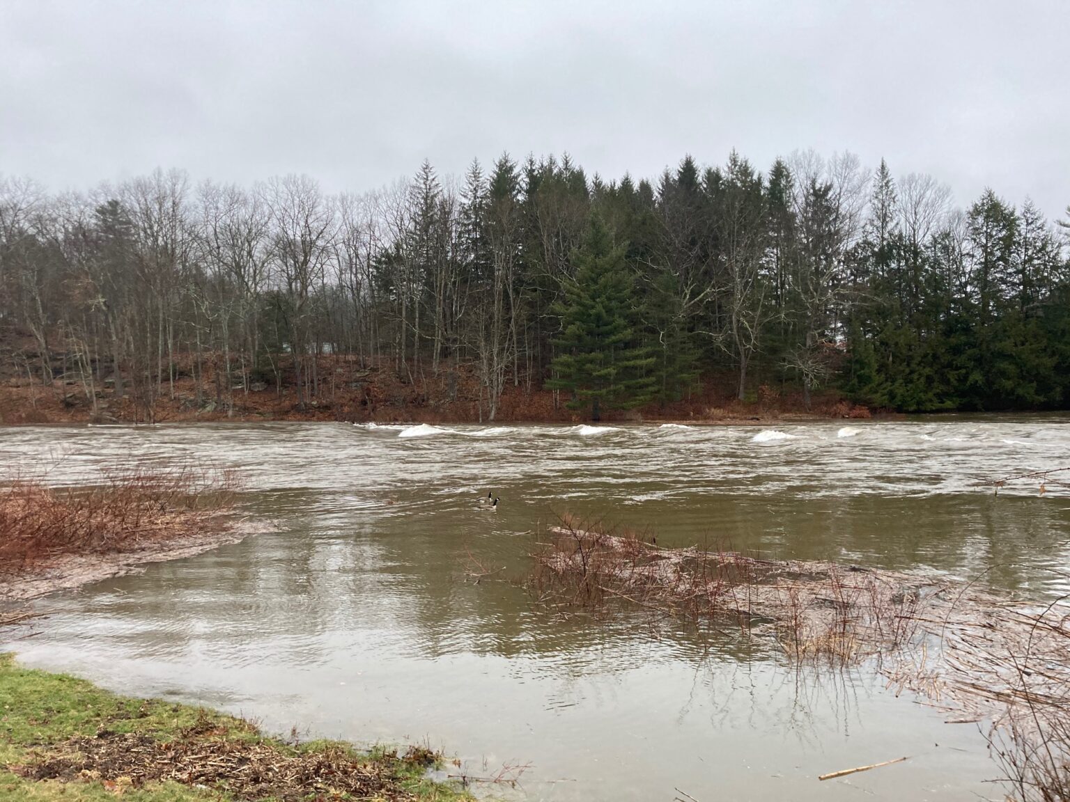 Delaware River Report: April 9, 2022 – The Delaware River Club
